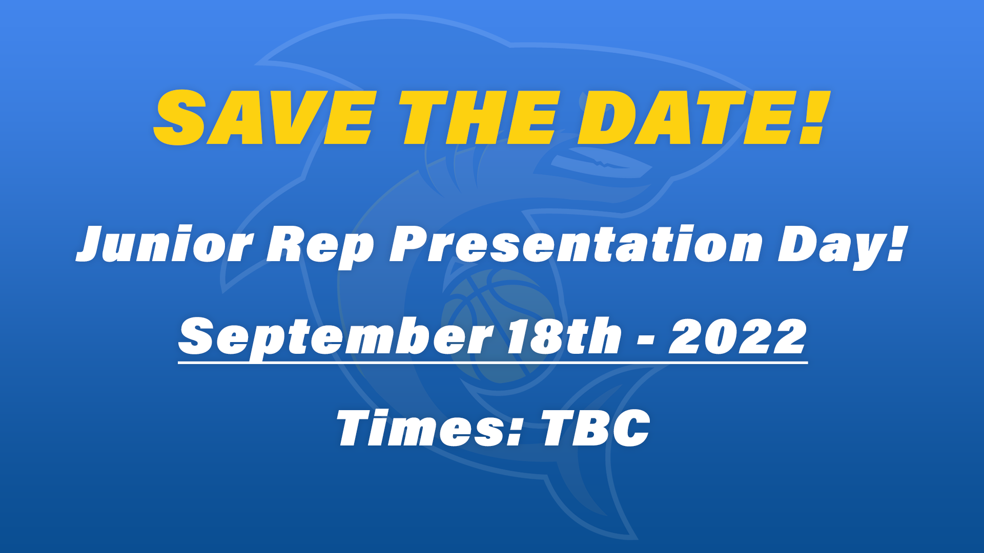 Southern Peninsula Basketball Association | SPBA