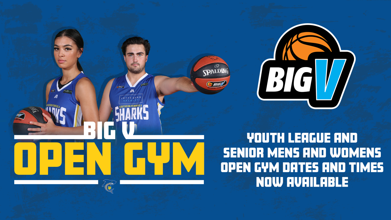 Big V - Open Gym Sessions - Southern Peninsula Basketball Association