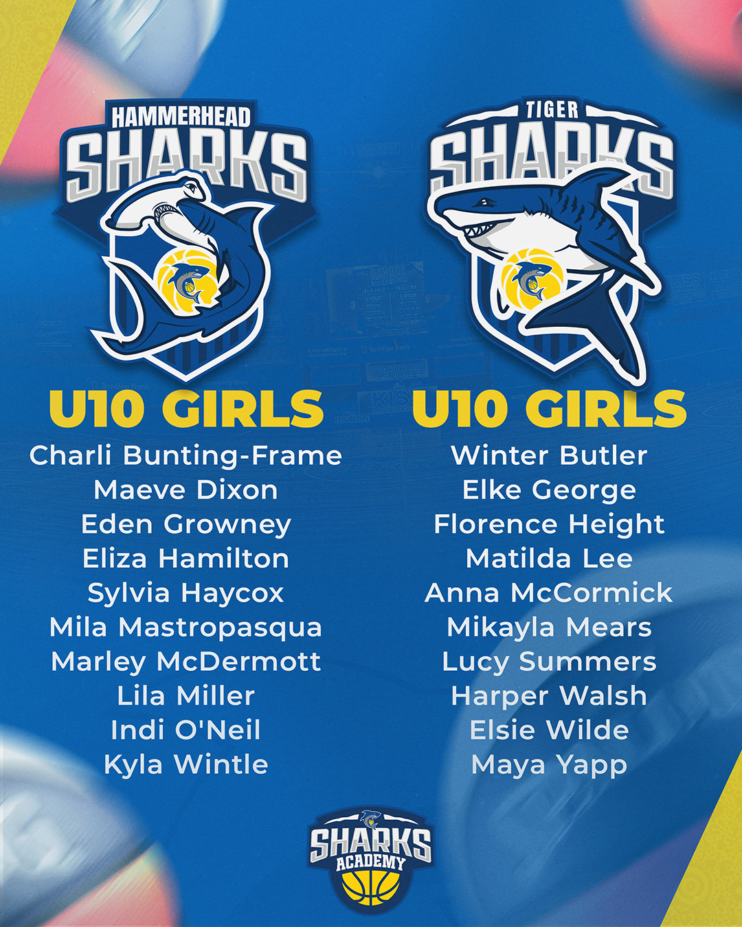 2025 Sharks Academy teams - Southern Peninsula Basketball Association